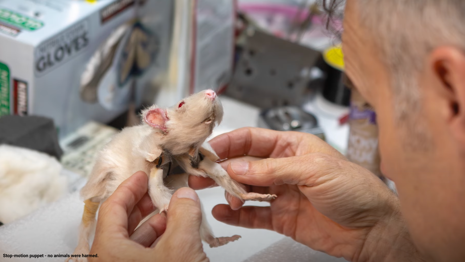 Alien: Romulus | Tippett Studio